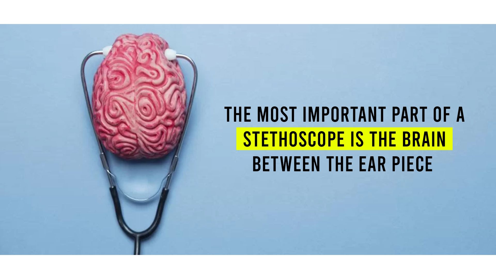 The most important part of a STETHOSCOPE is the BRAIN between the ear piece